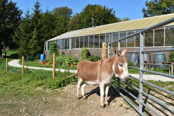 Whitfield Rural Education Centre - Outdoor Based Activities - SWRAC