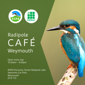 Radipole Café - Now Open Daily - SWRAC